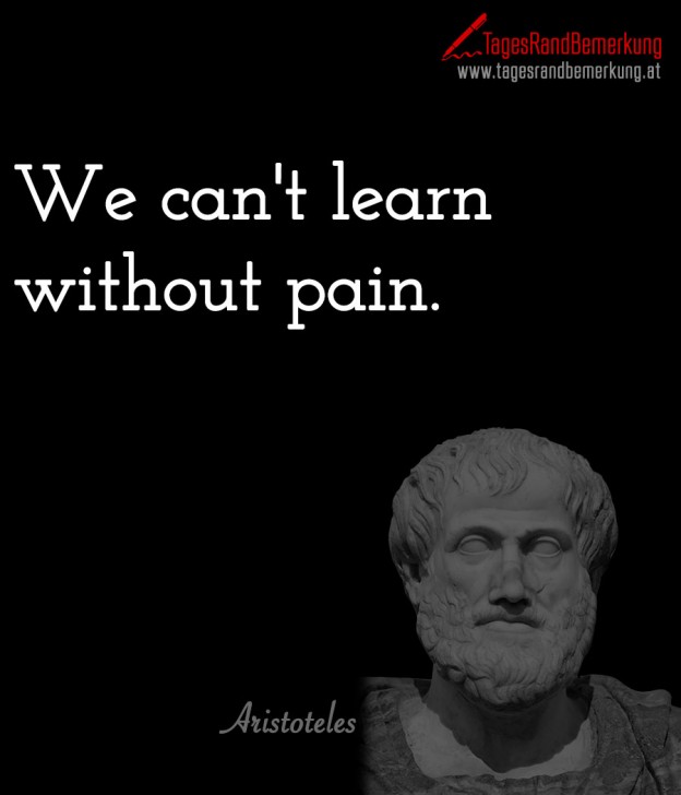 We can't learn without pain. - Zitat von Die TagesRandBemerkung