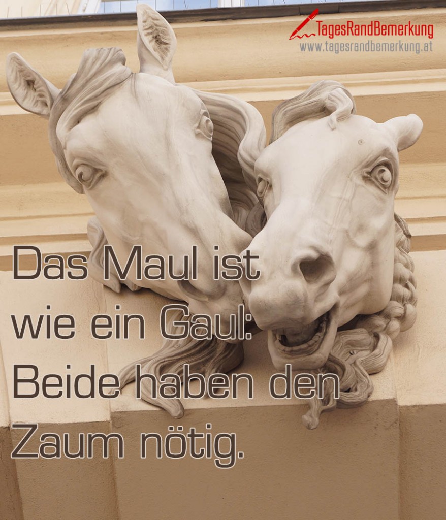 Das Maul ist wie ein Gaul: Beide haben den Zaum nötig. - Zitat von Die ...