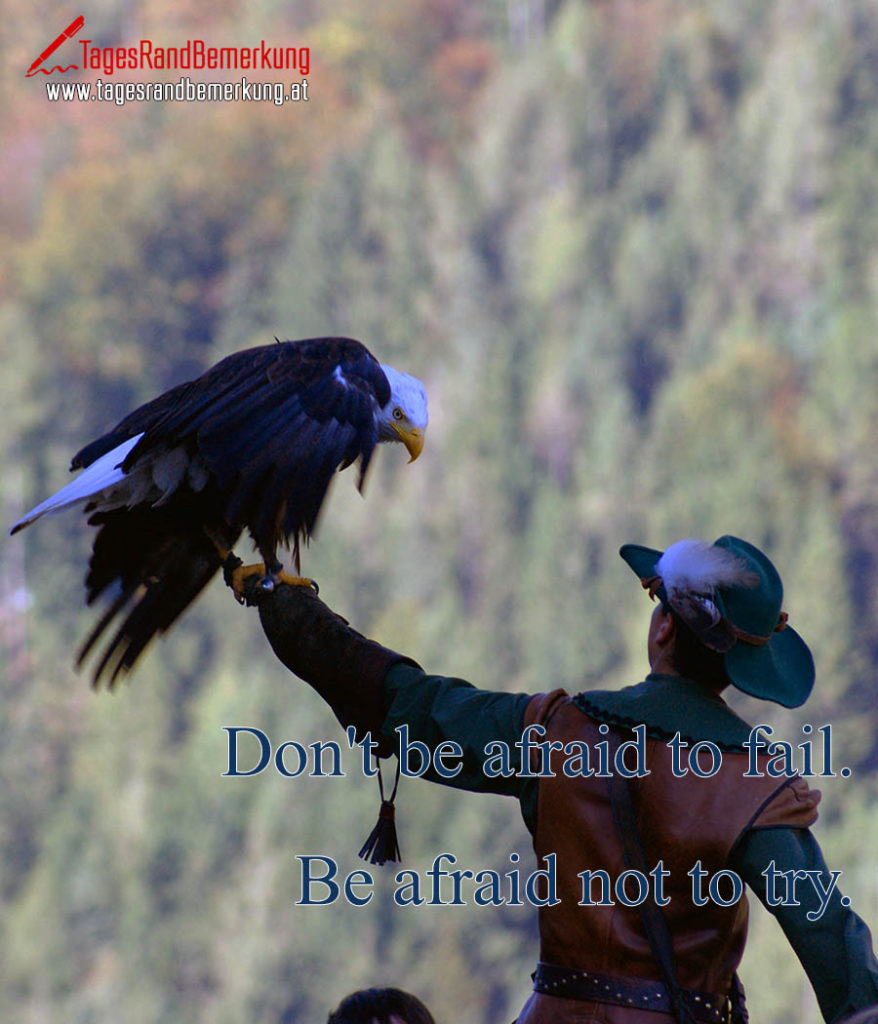 Don't be afraid to fail. Be afraid not to try. - Zitat von Die ...
