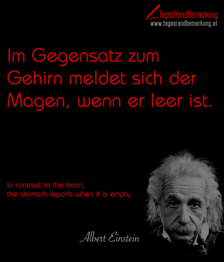 Zitate mit dem Schlagwort Albert Einstein der Die TagesRandBemerkung